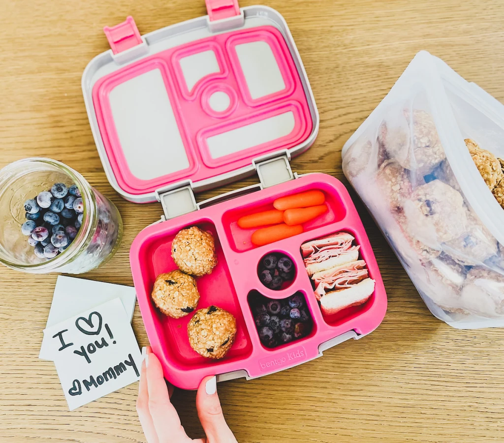 20 Healthy and Easy School Lunch Recipes - A Mum and More